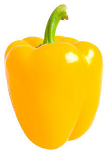yellow capsicum png images - Freewebpsd